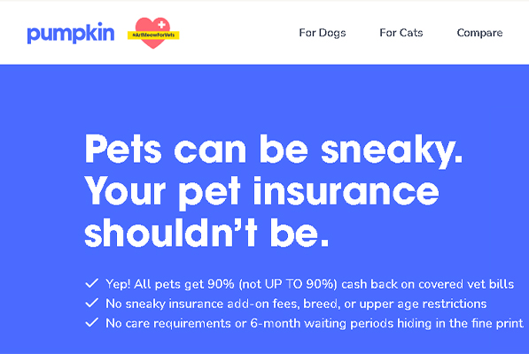 Pumpkin Review - Read about their pet insurance coverage, offers and costs